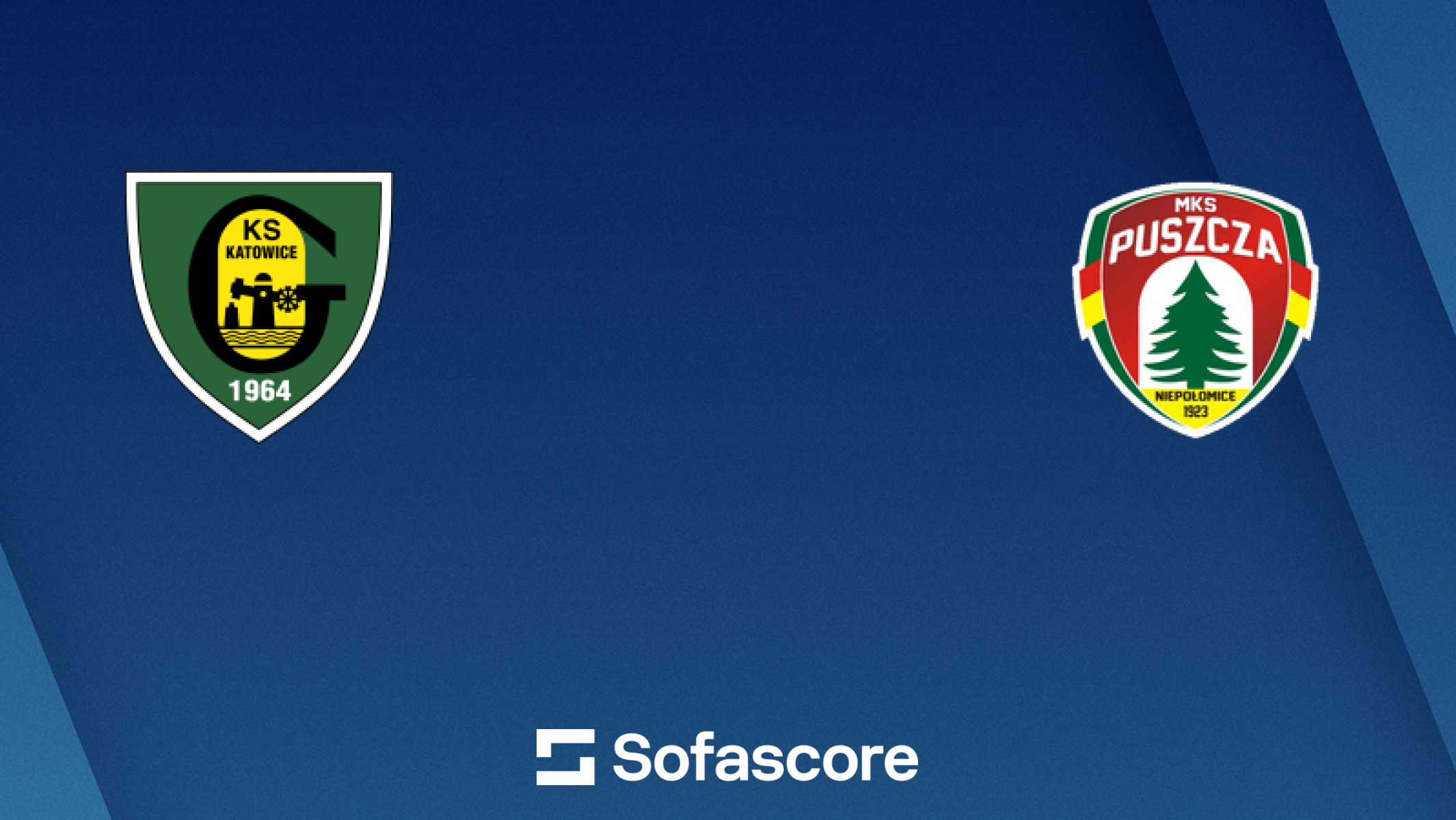 GKS Katowice vs Puszcza Niepołomice live score, H2H and lineups | Sofascore