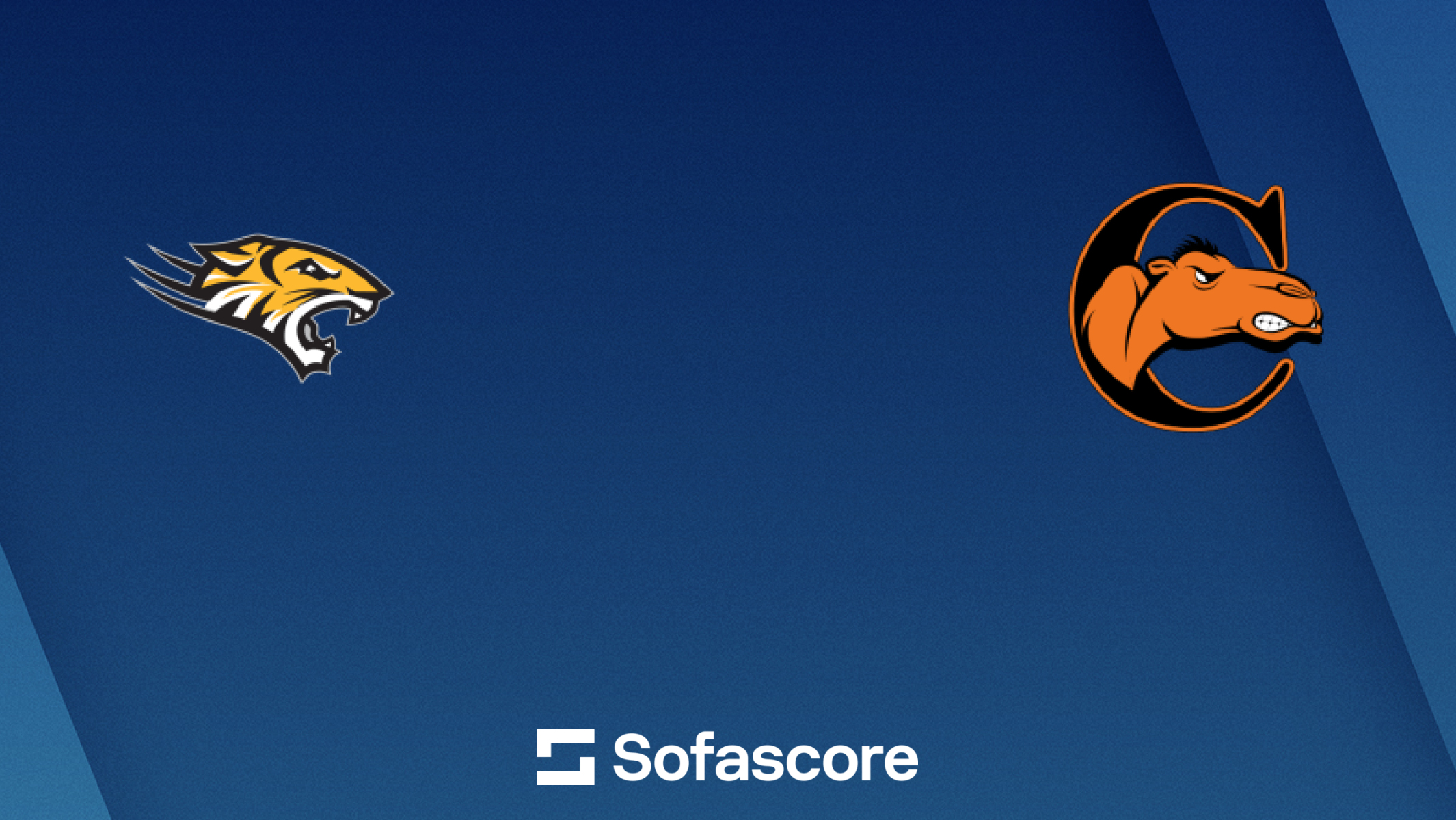 Towson Tigers vs Campbell Lady Camels scores & predictions | Sofascore