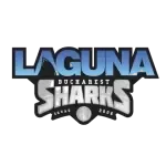 Bahcesehir U14 Laguna Sharks U14 risultati in diretta e H2H | Sofascore